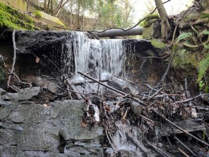 Old Roar Gill - The Hiker