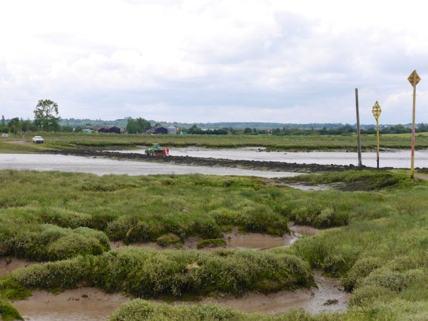 Northey Island, Essex - The Hiker