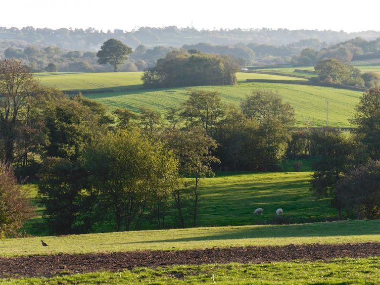 Wadhurst Park - The Hiker